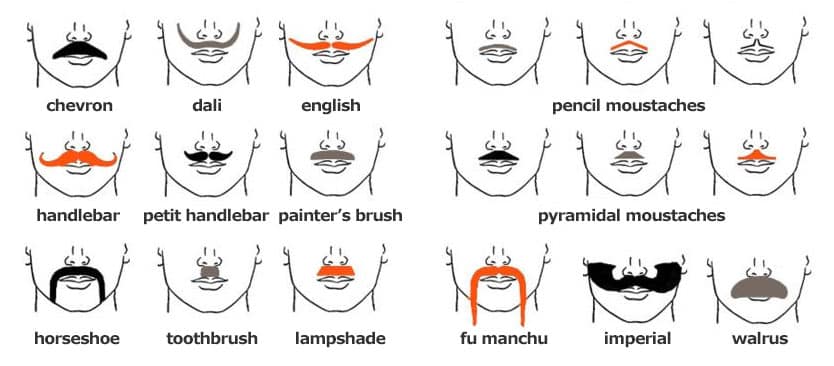 Moustache styles